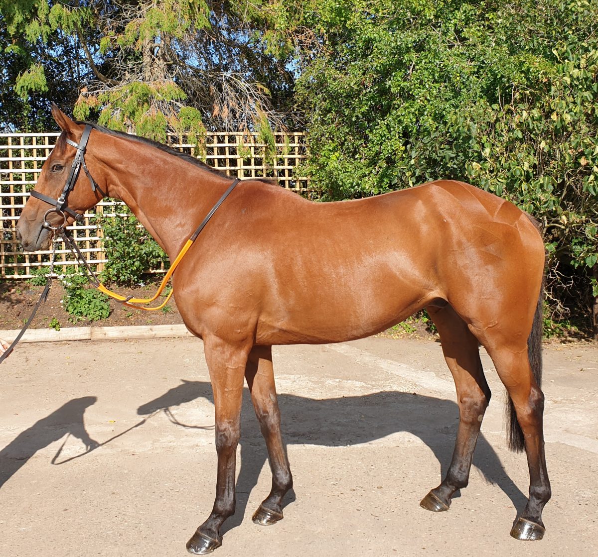 Point-to-Point – Rowley Racing