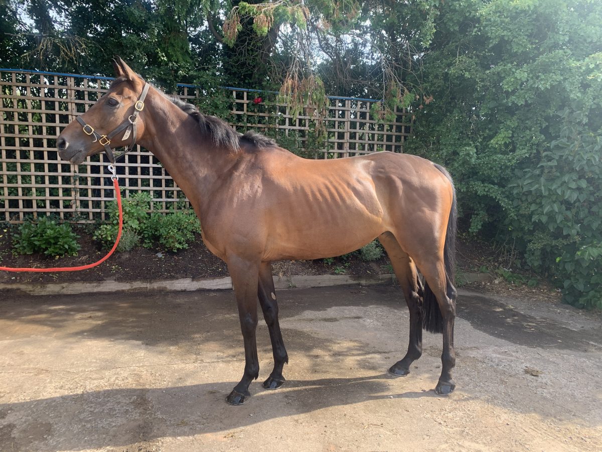 FINALSHOT – Rowley Racing