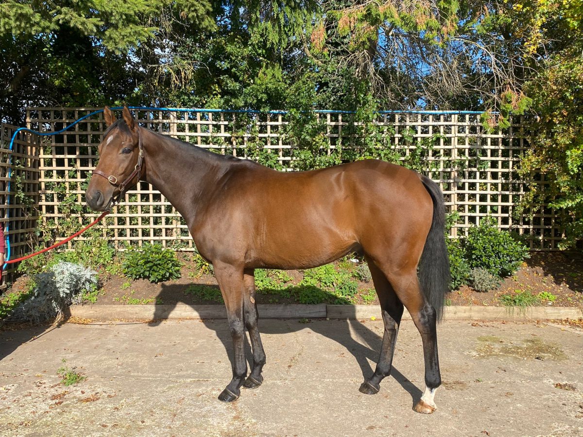 Point-to-Point – Rowley Racing