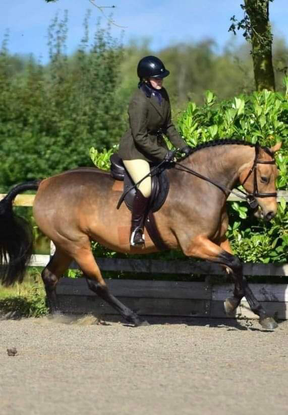 Our Team – Rowley Racing